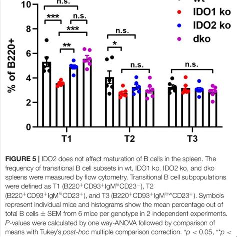 Localization Of Antibody Secreting Cells In Immunized Mice Wt Ido1