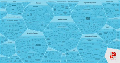 Pathway Overview Reactome