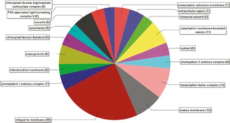 Distribution Of The Ests Annotated To Various Cellular Components