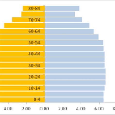 Age Sex Population Pyramid India 2050 Source Us Census Bureau Download Scientific Diagram