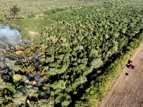 На Миколаївщині горить ліс відео Читайте на Ukr Net