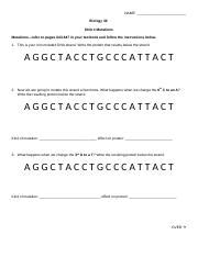 DNA4 Mutations Activity Docx NAME Biology 30 DNA 4 Mutations Mutationsrefer To Pages 643 647