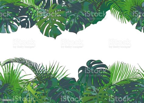 벡터 열대 이음새가 없는 테두리 잎 단풍 식물 부시 꽃꽂이 자연 배경 흰색 배경 수채화 사실적인 일러스트레이션에 고립 열대우림에 대한 스톡 벡터 아트 및 기타 이미지