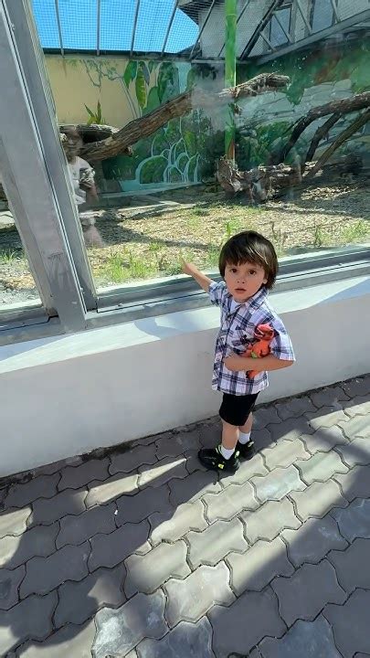 Хто знайшов динозавра на відео Youtube