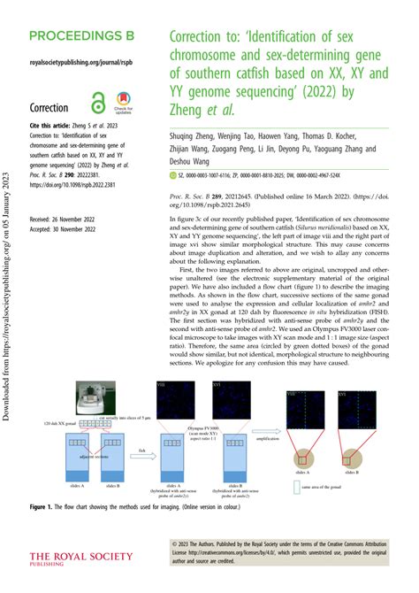 Pdf Correction To Identification Of Sex Chromosome And Sex