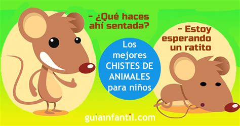 41 Chistes Para Niños De Animales Cortos