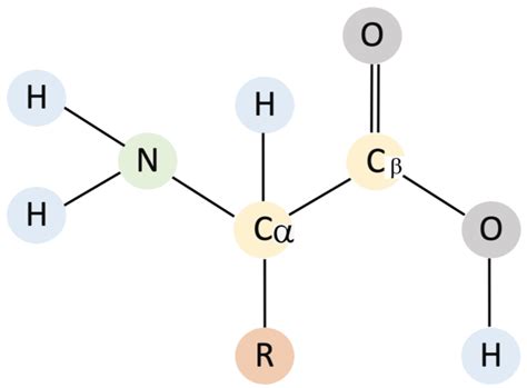 논문 리뷰 Protein Mamba Biological Mamba Models For Protein Function Prediction