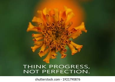 193 Progress Not Perfection Images Stock Photos Vectors Shutterstock