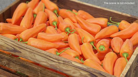 Hot Pepper Orange 3d Model 24 3ds Blend C4d Fbx Max Ma Lxo