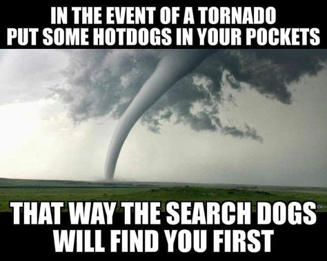 Tornado Funny Humor