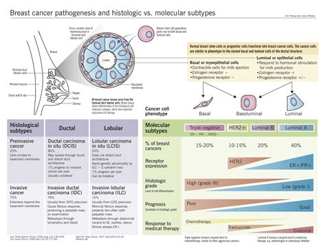 Breast Cancer Mcmaster Pathophysiology Review