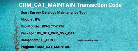 Crmcatmaintain Sap Tcode For Survey Catalogs Maintenance Tool