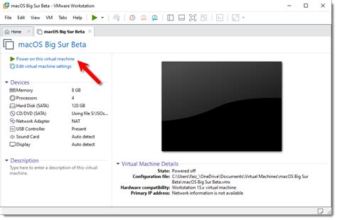 Macos Big Sur Virtual Machine Travelsjes