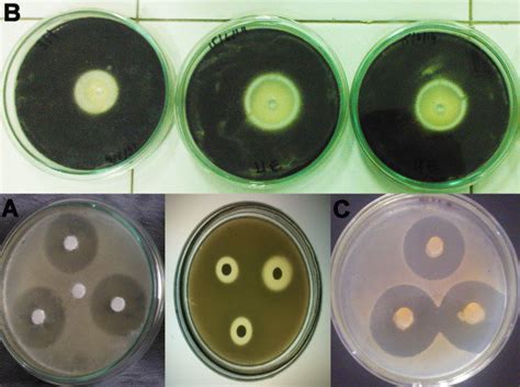 Agar Diffusion Methods A Disk Diffusion Method Of Microbial Extract