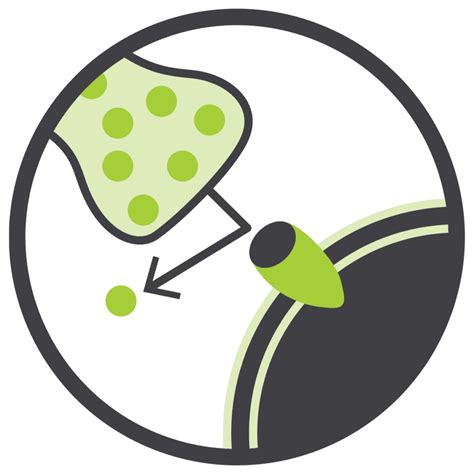 GeoMx DSP Spatial Genomics Overview NanoString