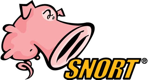How To Install Snort On Ubuntu Upcloud