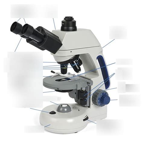 Lab Practical 1 Microscope Diagram Quizlet