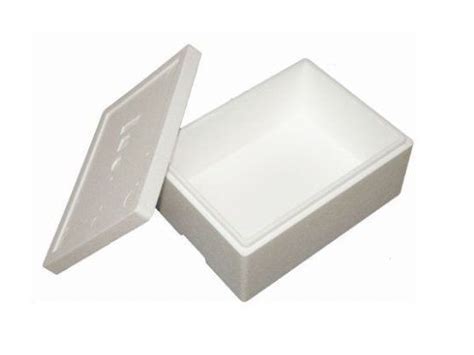 Isolierbox Mit Deckel Aus Styropor Frischhaltebox Obstbox Kaufen Auf Ricardo