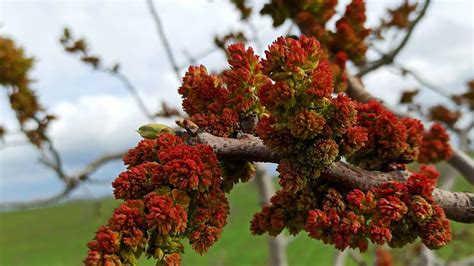 دسترسی رایگان به داده‌های هواشناسی