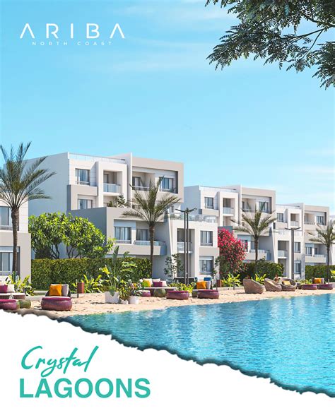 Ariba North Coast Alexandria