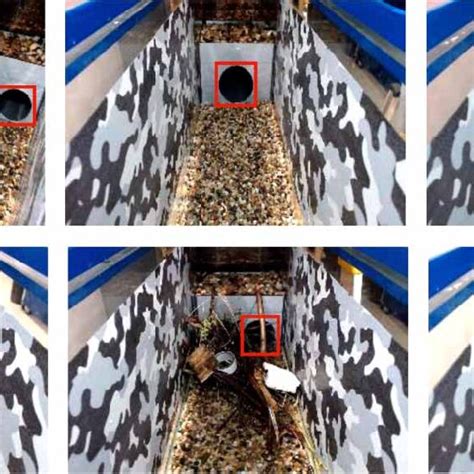 Sample Annotations From Sic Download Scientific Diagram