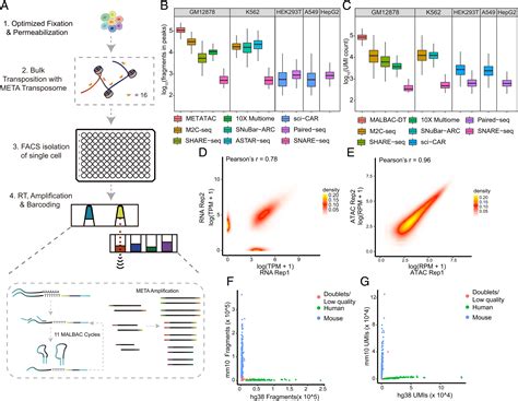 Txci ATAC Seq A Massive Scale Single Cell Technique To 50 OFF