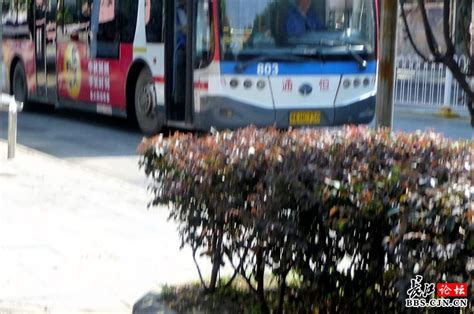 奇葩女 为避暴晒马路中间等公交 首页i新闻 首页 长江网 cjn cn
