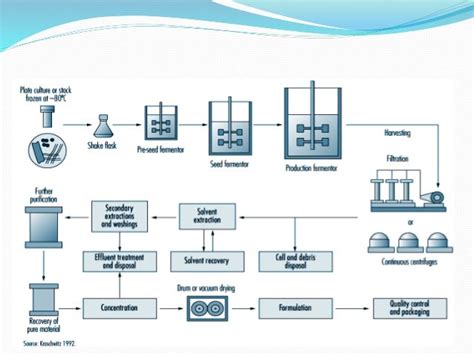Industrial Production Of Insulin