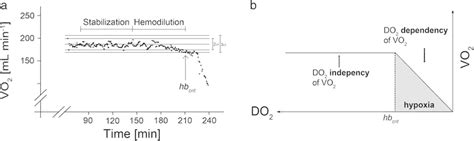 Typical Example Of An Oxygen Consumption Vo2 Recording In The Course