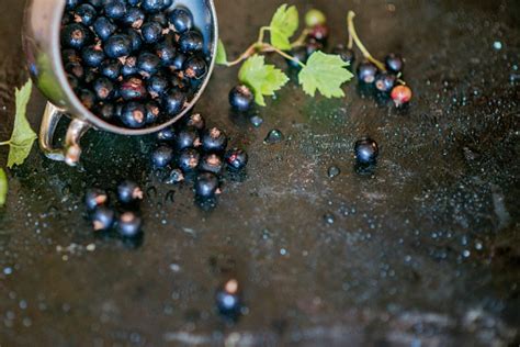 신선한 딸기 블루베리 듀 베리가 레드 건포도 어두운 금속 배경 위에 나무 접시에 검은 숯 크래커와 함께 무화과의 다양 한 공간이 최고 볼 수 있습니다 여름 어두운 간식 개념