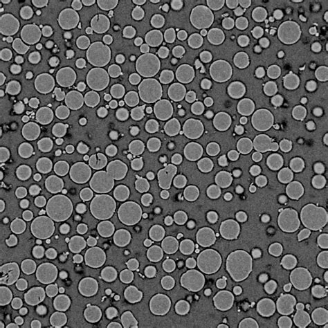 X Ray Microscopy Digim Solution