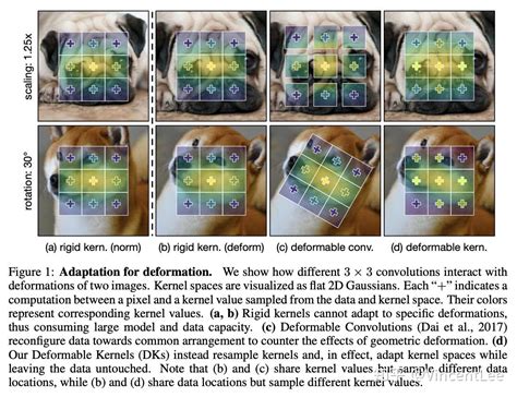 可变形卷积系列 三 创意满满的可变形卷积核 Iclr 2020 知乎