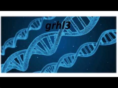 Nishanthi Mathiyalagan Visualise Your Thesis Entry YouTube
