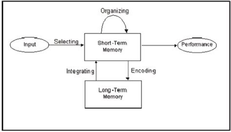 An Information Processing Model Mayer 1989 Download Scientific Diagram