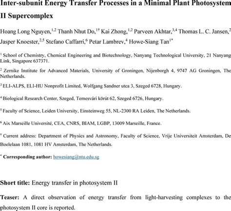 Inter Subunit Energy Transfer Processes In A Minimal Plant Photosystem Ii Supercomplex