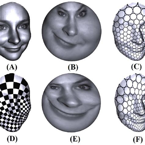 Conformal And Quasi Conformal Maps For A Face Surface The Conformal Download Scientific
