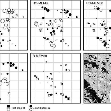 Morans Eigenvector Maps Mem Five Examples Of Fitted Sampling Site Download Scientific