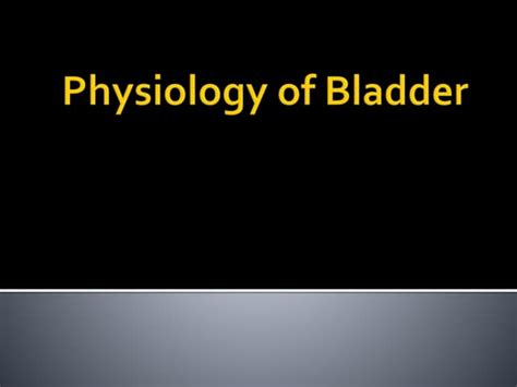 Bladder Physiologypptx