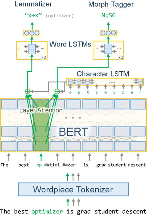 Figure 1 From Cross Lingual Lemmatization And Morphology Tagging With Two Stage Multilingual
