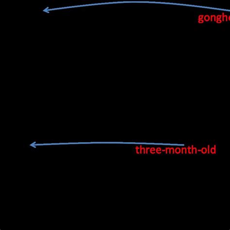 Sample Output From Switching Generatorpointer Download Scientific