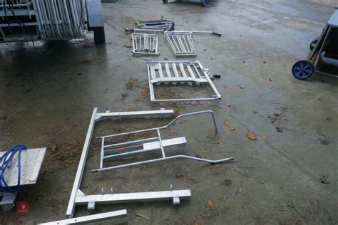 2020 Rappa Sheep Handling System