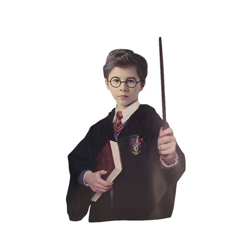 ჰარი პოტერის ფორმა Harry Potter ჭიტა