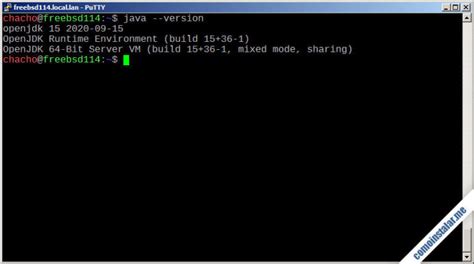 Cómo instalar Java OpenJDK en FreeBSD 11 2020 Paso a paso