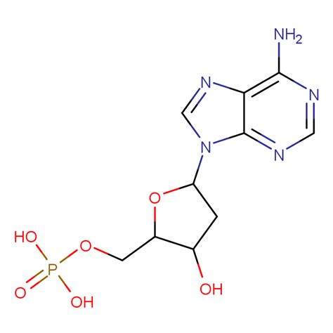 2 Deoxyadenosine 5 Monophosphate 54509 79 4 Wiki