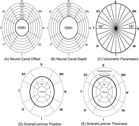 Figure A3 Parameter Regionalization Right Eye Configuration Neural