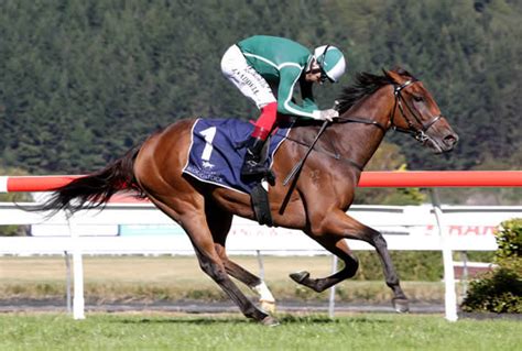 Oaks Winner Jennifer Eccles Pleases In Trial Breednet