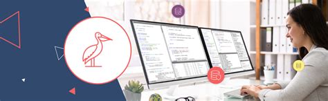 Pelican Smarter Data Validation For Cloud Migration