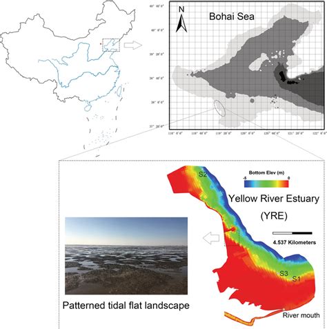 Location And Model Grids Of The Hydrodynamic And Sediment Numerical Download Scientific Diagram