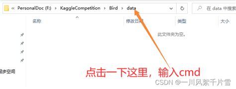 【经验分享】windowsubuntu上如何使用api下载kaggle上的数据集kaggle 上的input的数据如下下载 Csdn博客