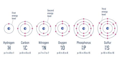 Diagram That Shows The General Structure Of An Atom Pass My